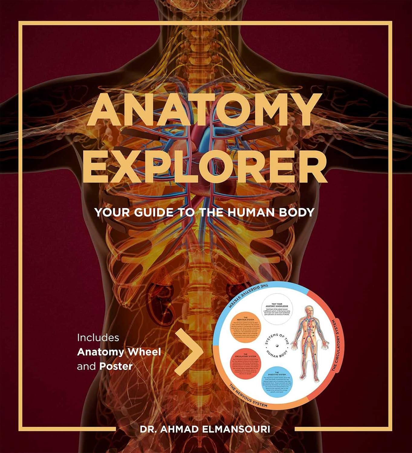 Anatomy Explorer: Your Guide to the Human Body: Amazon.co.uk ...