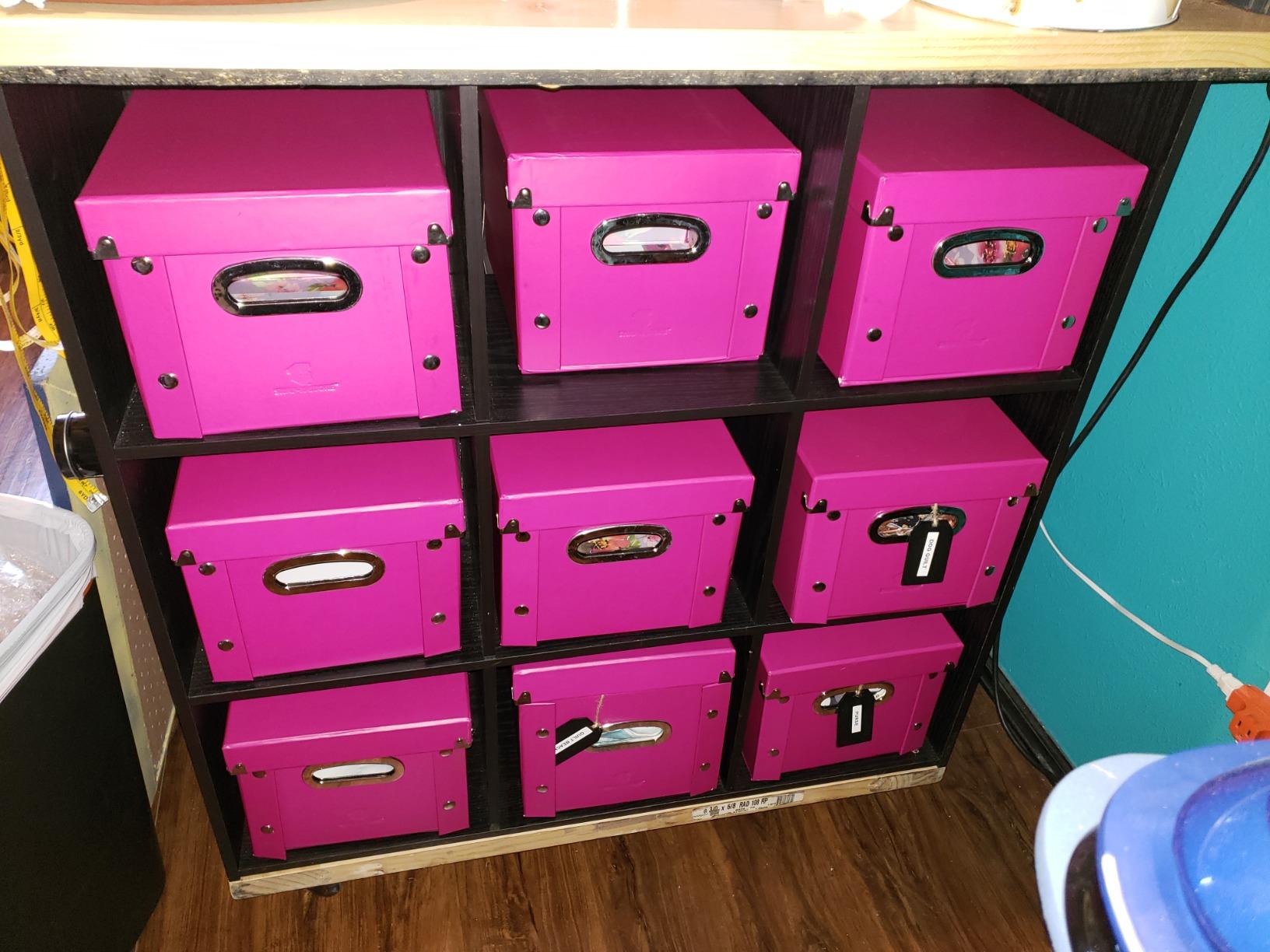 Amazon.com: Snap-N-Store Storage Box with Lid, Assembled - 10 H x 12.25 ...