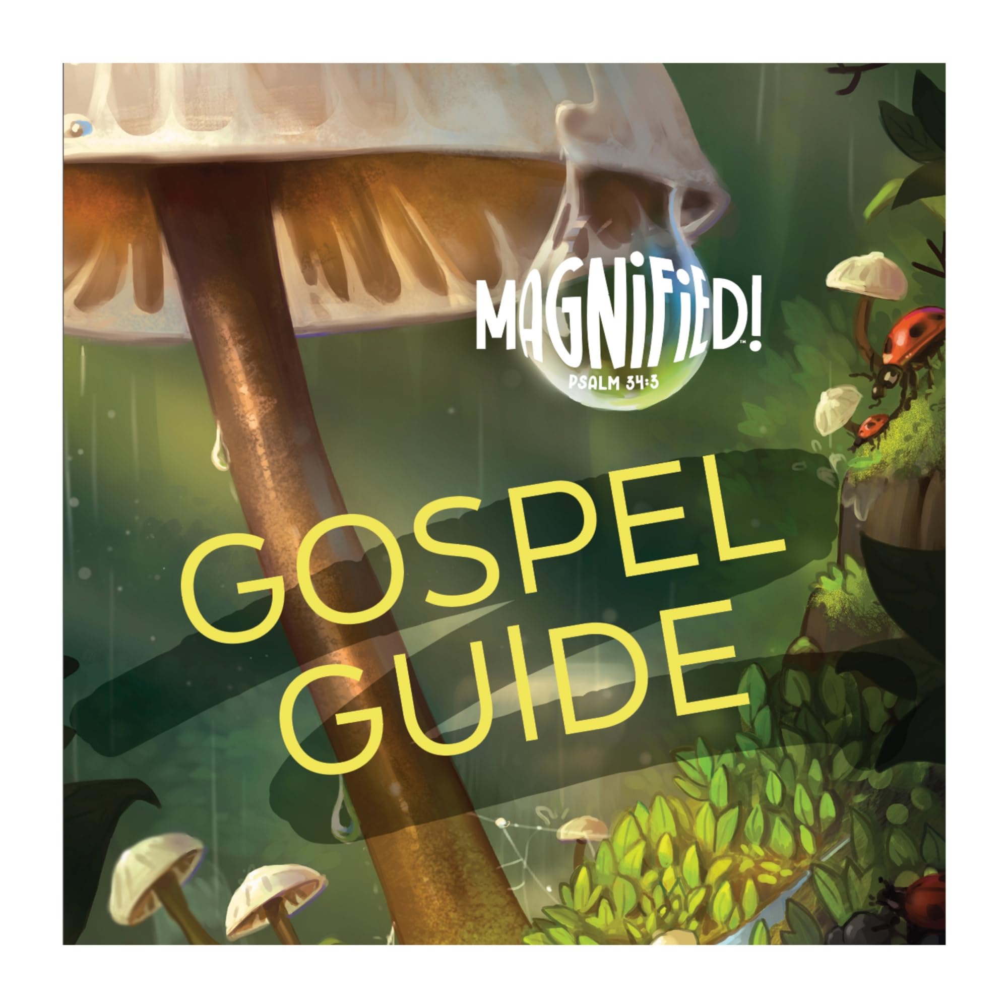 Amazon.com: Lifeway Kids VBS 2025 Magnified! Gospel Guide (Package of ...