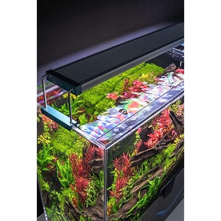 Twinstar Aquarium WRGB LED Light | C-Line | Model: 300C (Version III ...