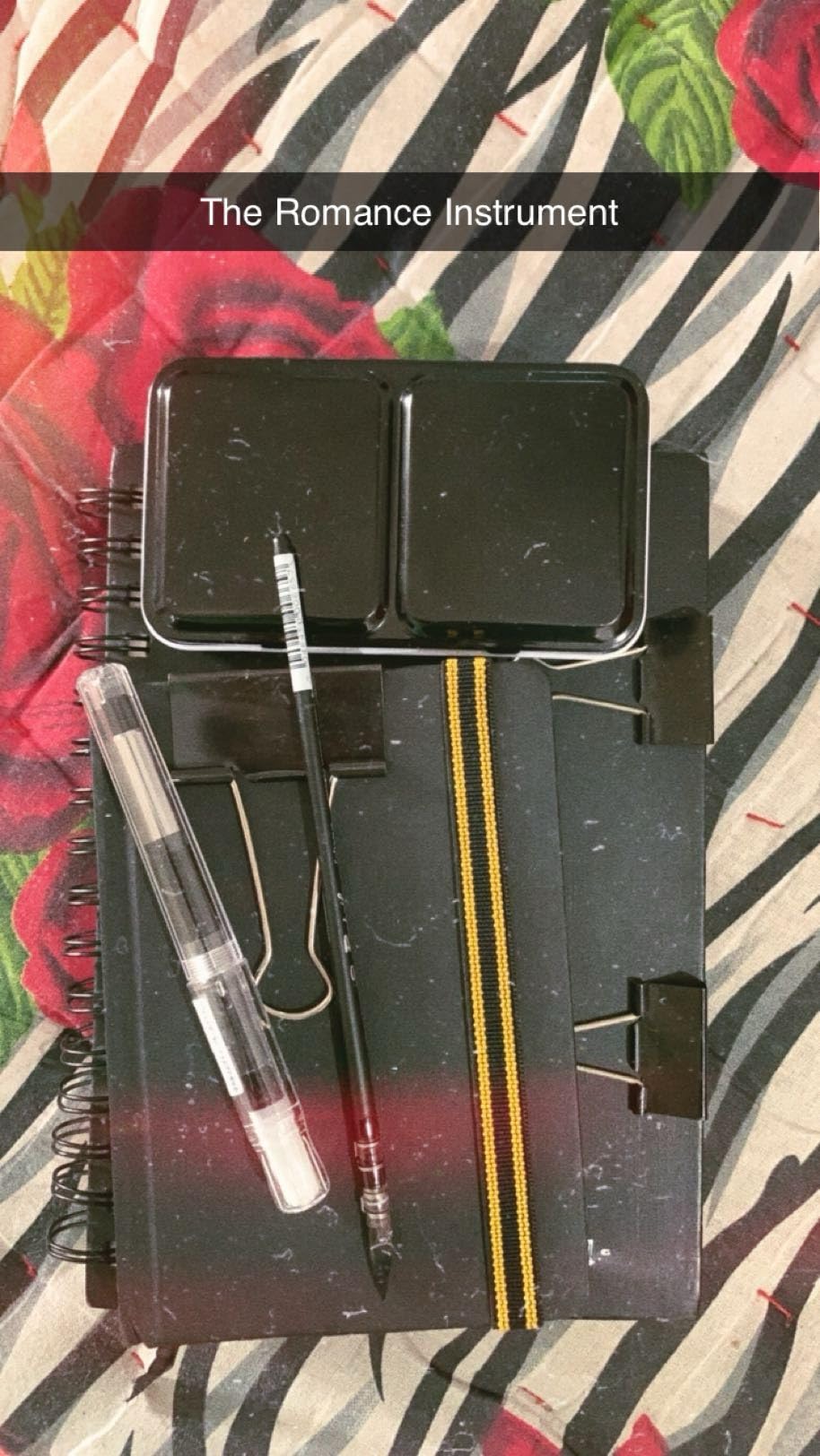 Pilot Fountain Pen Converter (CON-70) : Amazon.in: Office Products