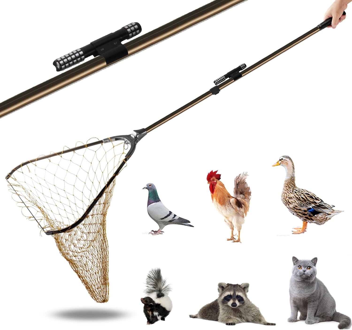 Amazon.com: Animal Catch Pole Control Tool Net, Poultry Catching Pole ...