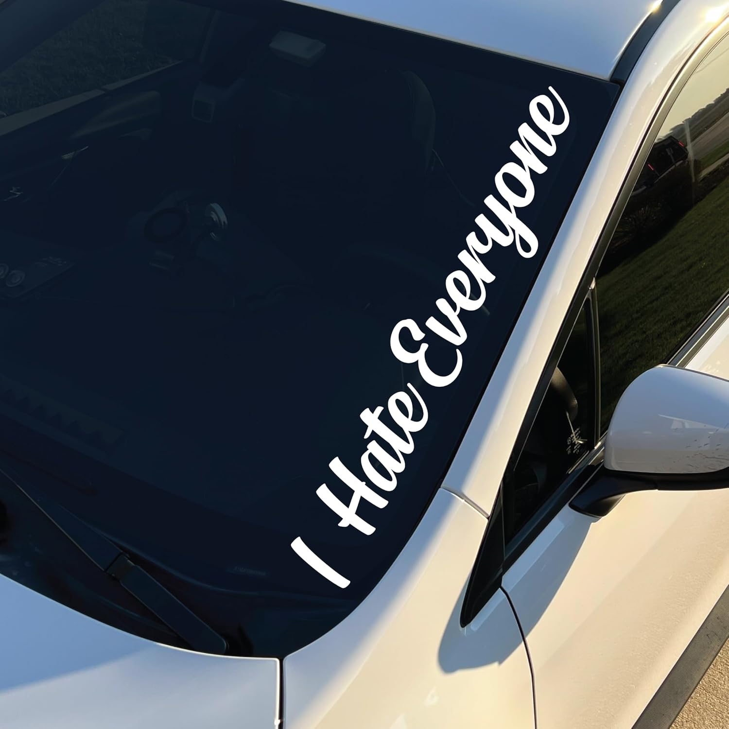 Amazon.com: (I Hate Everyone) Cursive/Script Side Windshield Banner ...