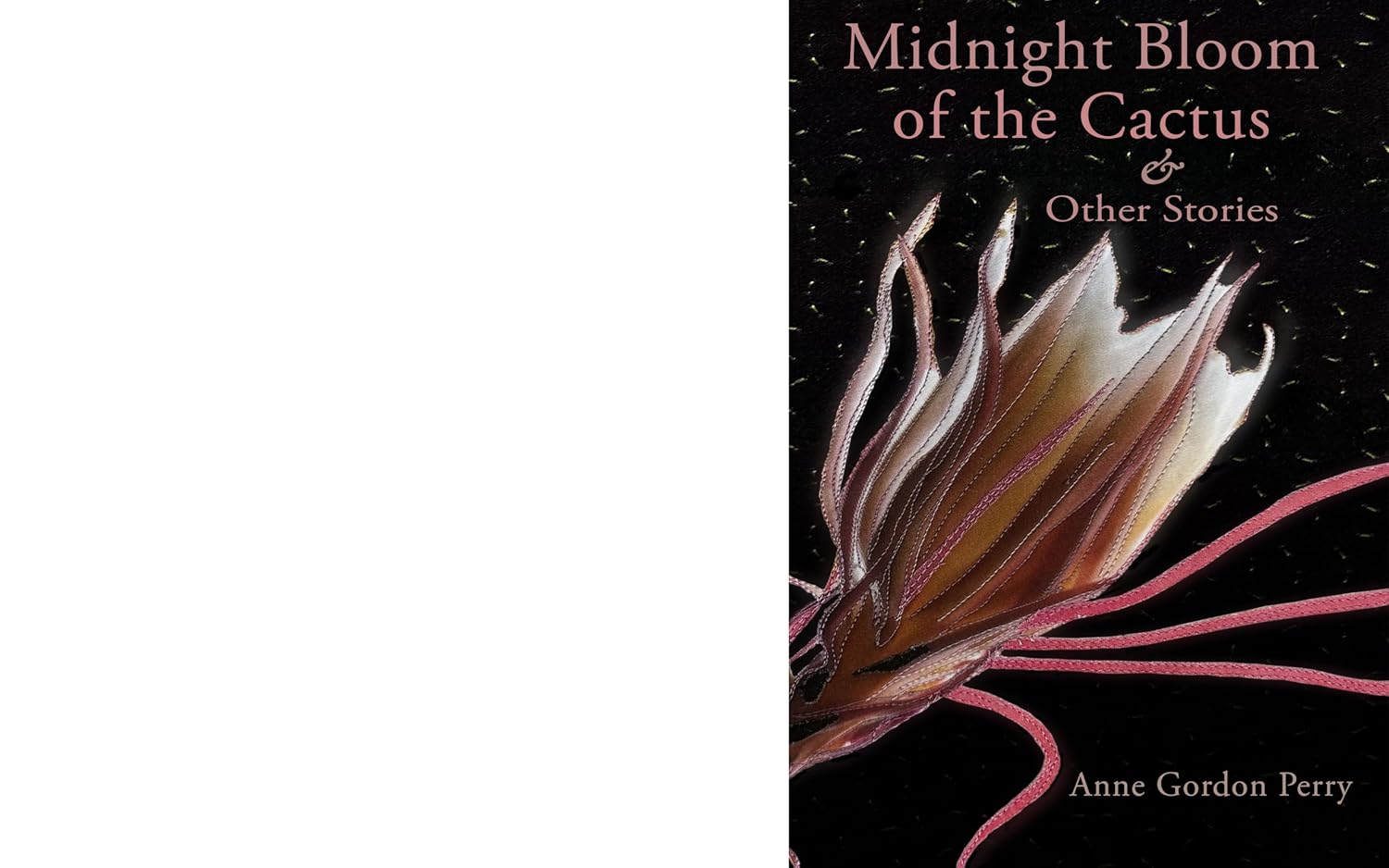 Amazon.com: Midnight Bloom of the Cactus & Other Stories eBook : Perry ...