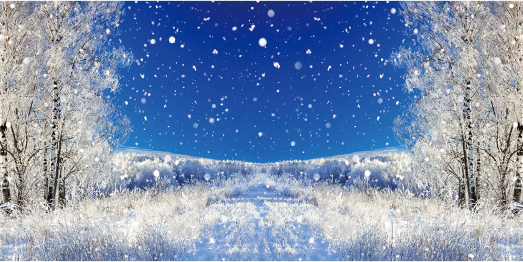 Amazon.com : Leyiyi 7x5ft Enchanted Winter Forest Backdrop Snow Covered ...