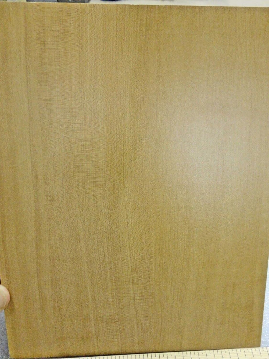 Amazon.com: Panolam Mountainside Maple # W681 Woodgrain Melamine 8" x ...