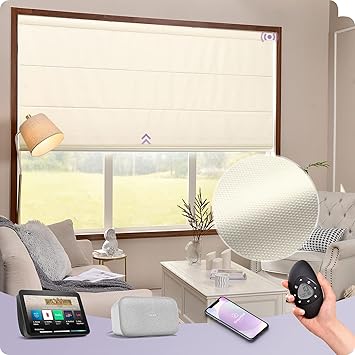 Amazon.com: Graywind Smart Roman Shades Compatible with Alexa Google ...