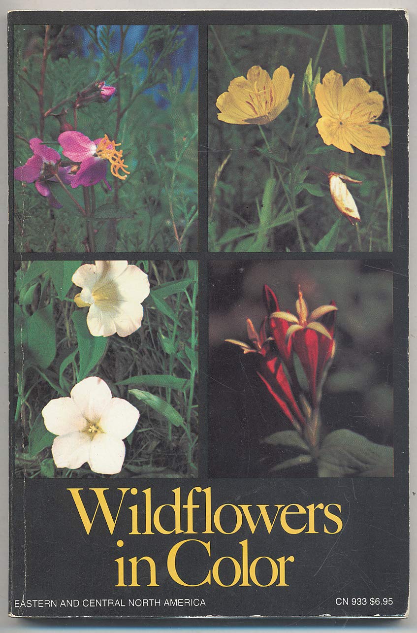 Wildflowers in Color: STUPKA, Arthur: Amazon.com: Books