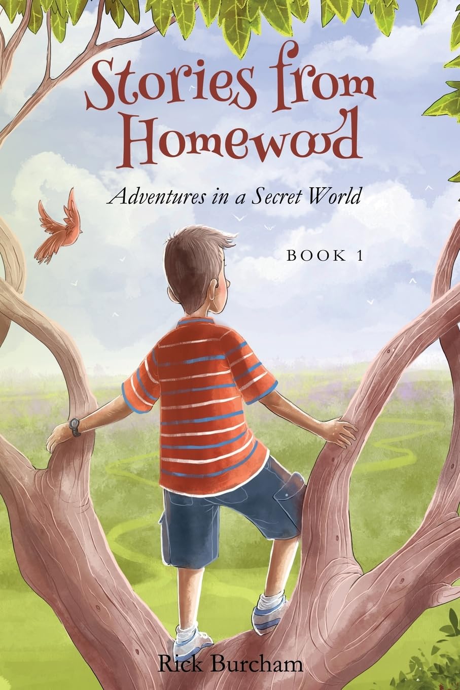 Amazon.com: Stories from Homewood: Adventures in a Secret World ...
