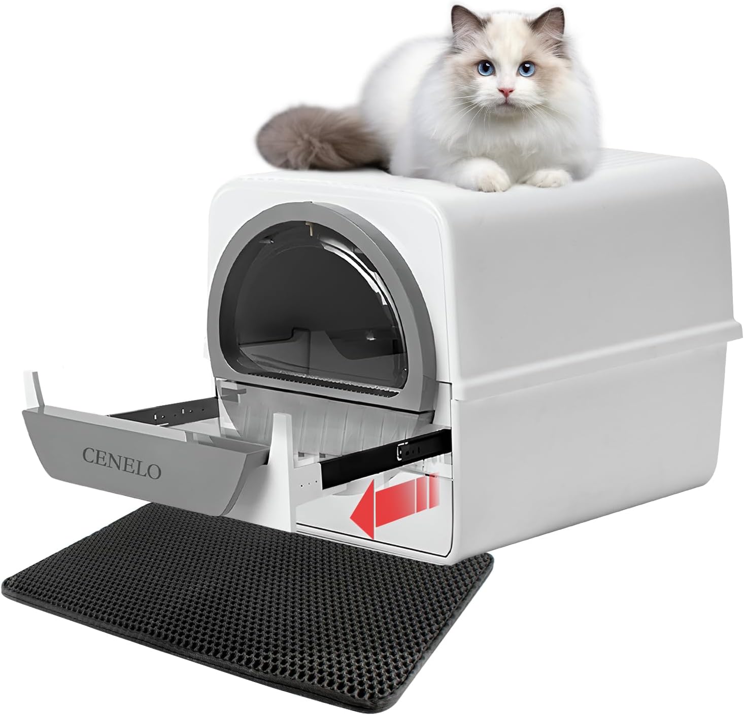 Amazon.com: Cat Litter Box, Non-Electronic Pull-Out Drawer Design,Cat ...