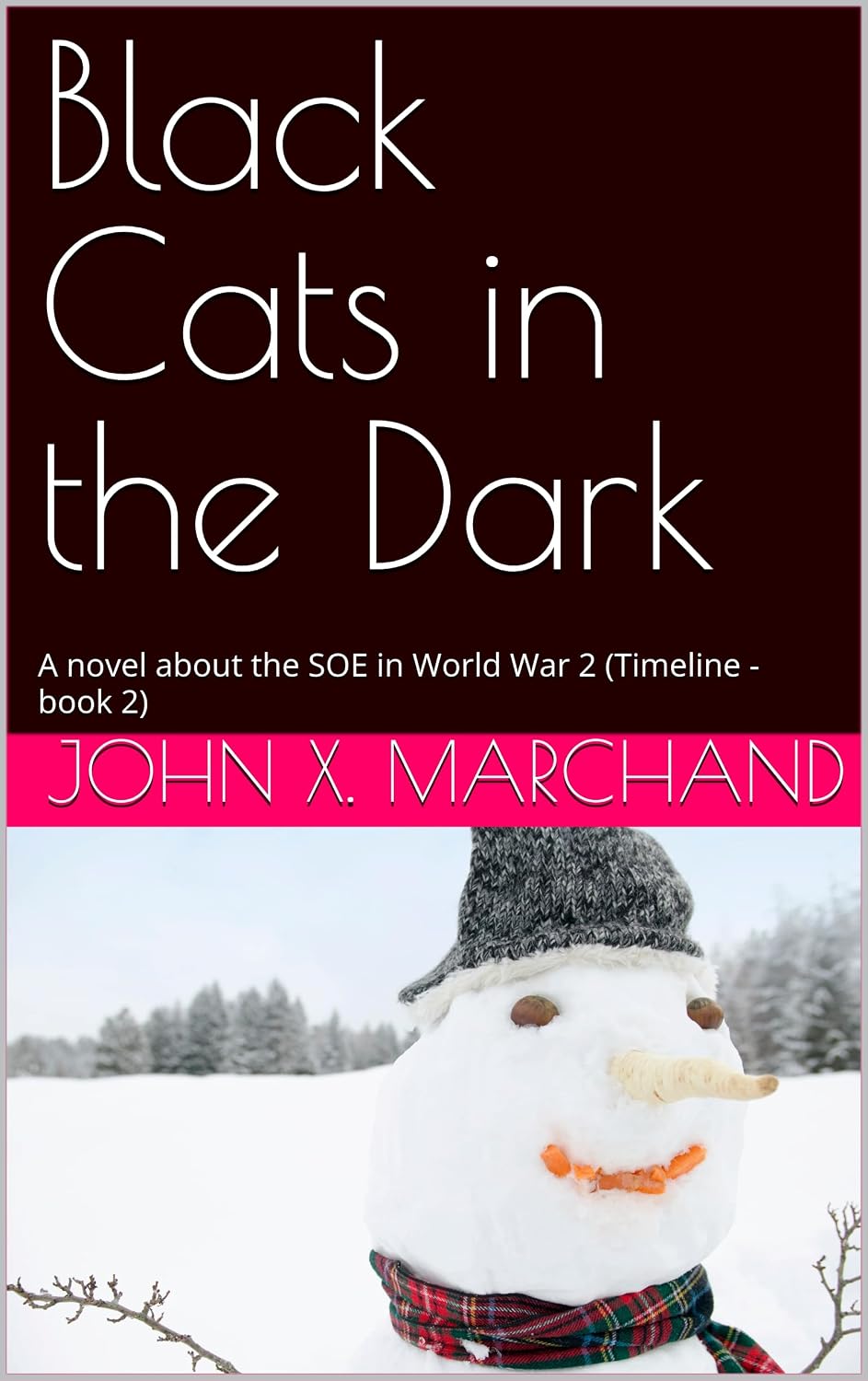 Black Cats in the Dark: A novel about the SOE in World War 2 (Timeline ...