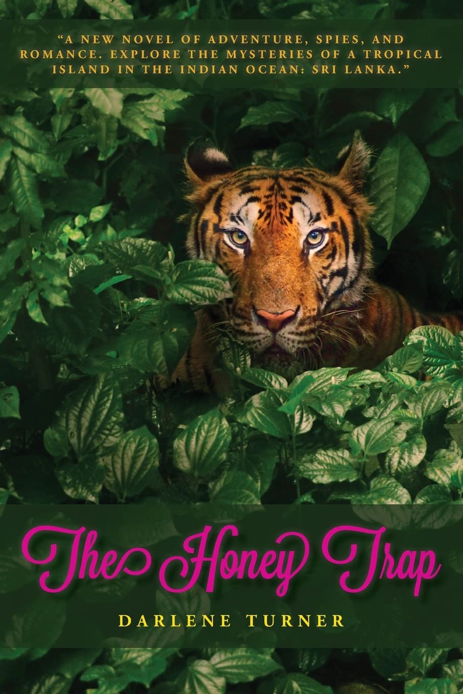 The Honey Trap: Turner, Darlene: 9781492936589: Amazon.com: Books
