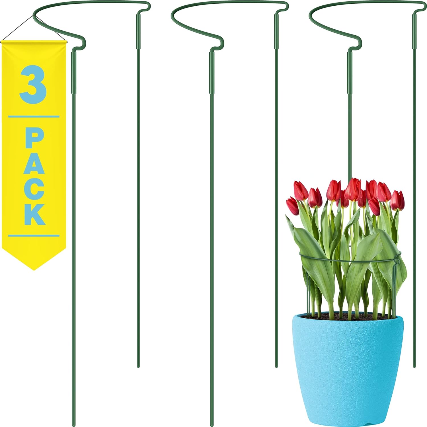 Amazon.com : Half Round Plant Support Ring / Cage - 15"x 30", 3-Pack ...