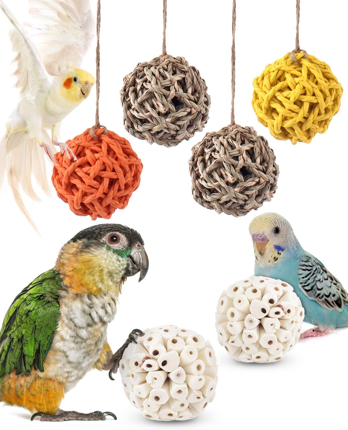 Amazon.com : Bissap 6PCS Small Parrot Chew Toys, Sola Balls Parrot ...
