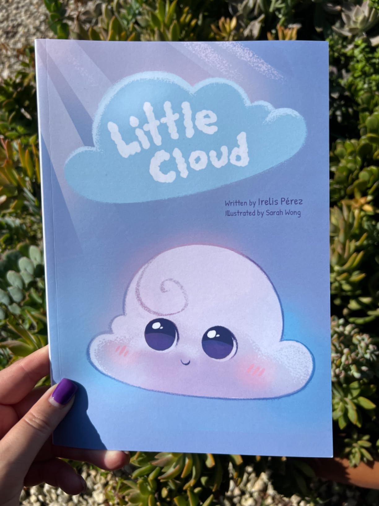 The Little Cloud: Fulsty, C., Fulsty, C.: 9781534621305: Amazon.com: Books