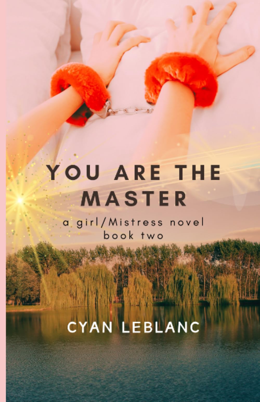 Amazon.com: You Are The Master (A girl/Mistress Story): 9798397181785 ...