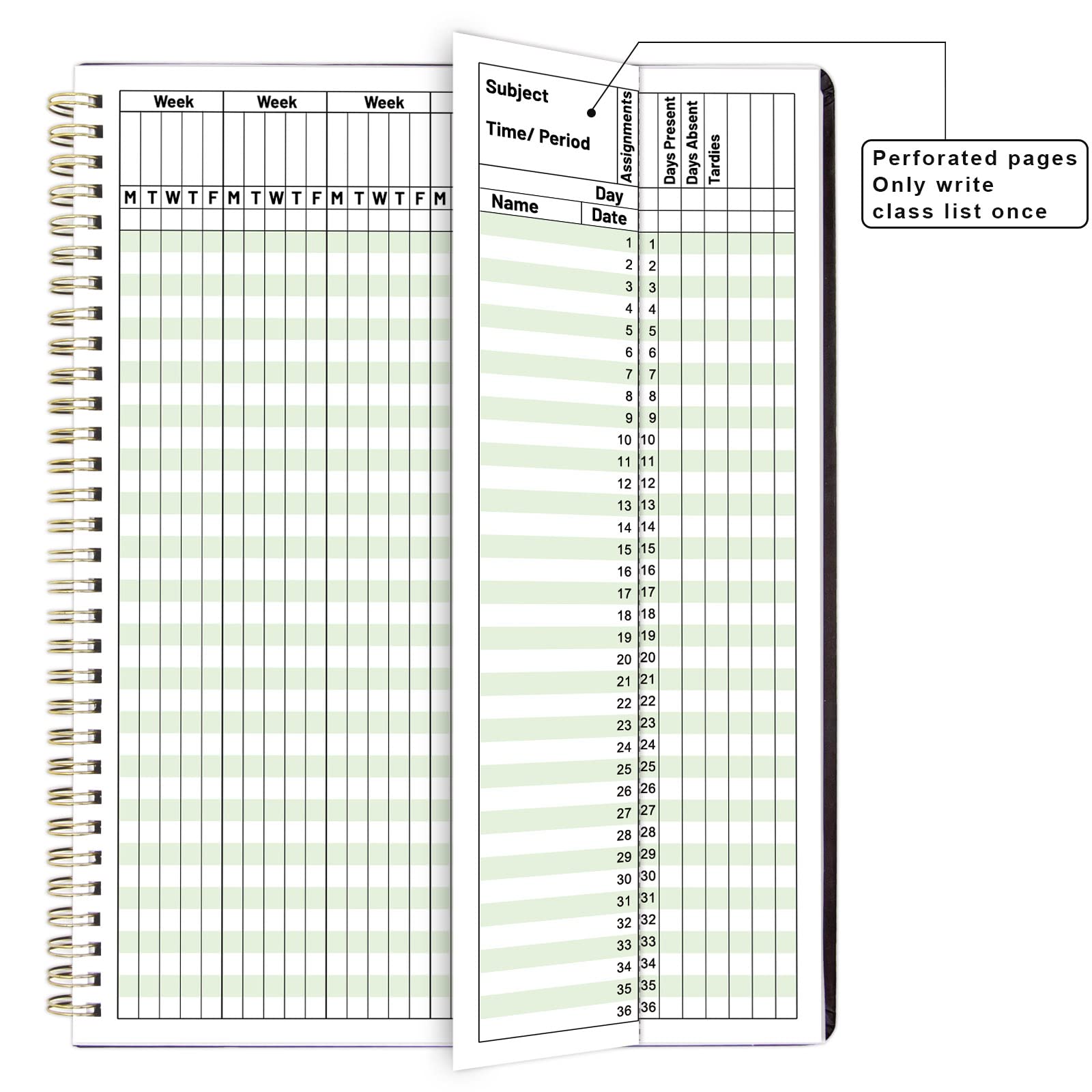 Snapklik.com : Ceiba Tree Teacher Record Book Grade Attendance Book Gradebook For Teachers Logs ...