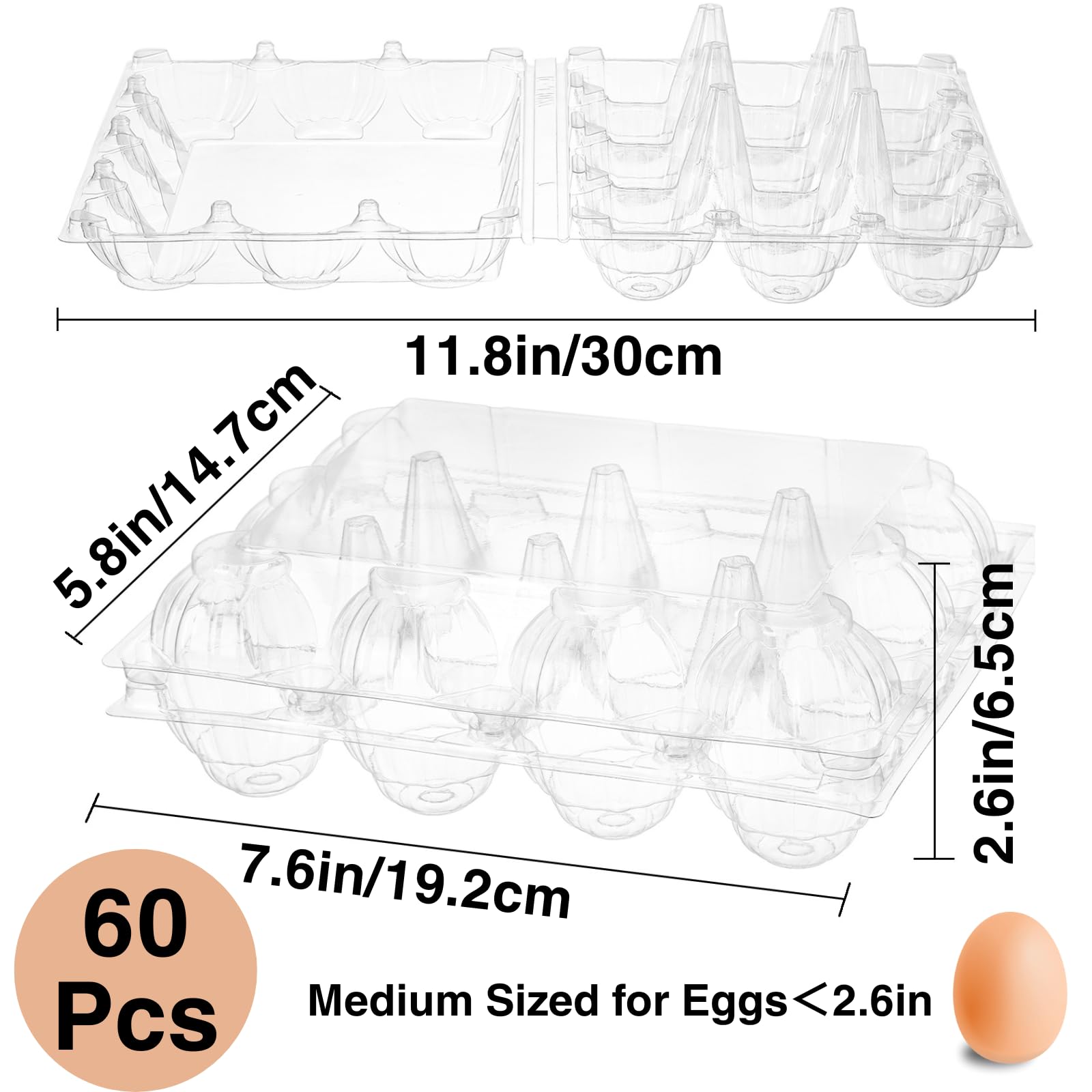 Snapklik.com : 60 Pcs Plastic Egg Cartons 12 Count, Clear Egg Cartons ...