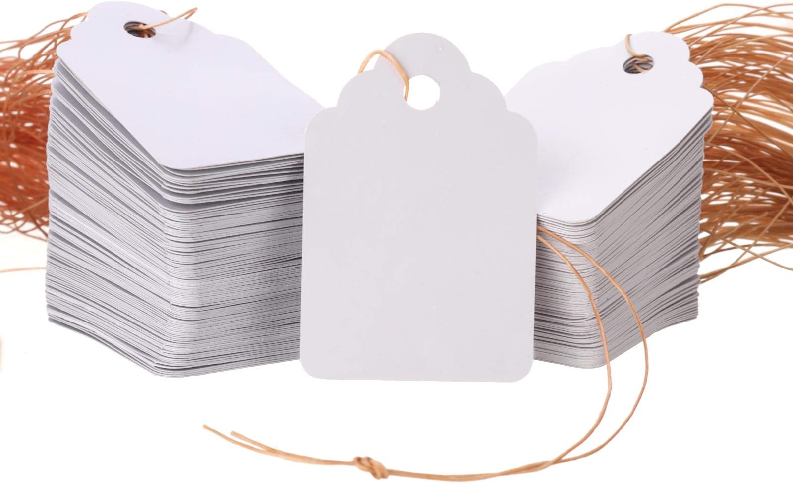 Amazon.com: BEADNOVA Plant Hanging Tags 100pcs Tags with String ...