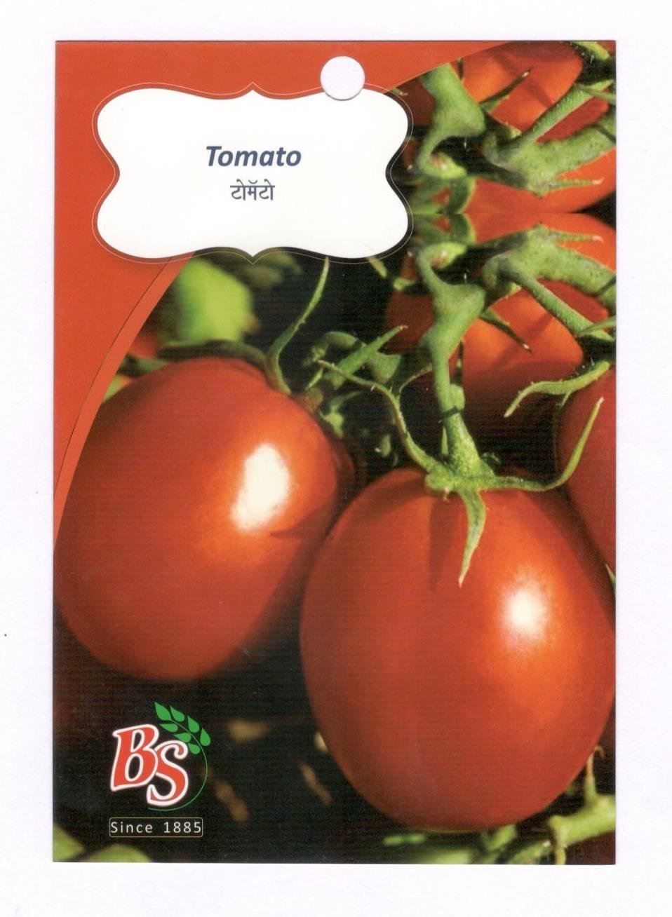 Buy Bombay Seeds Tomato Kgp Seeds (Pack Of 5) Online at Low Prices in ...