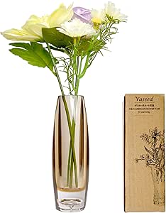 Amazon.co.jp: Vaseed 割れない 花瓶 ポリカーボネート おしゃれ花器 高さ18cm 幅7cm (アンバー) : ホーム＆キッチン
