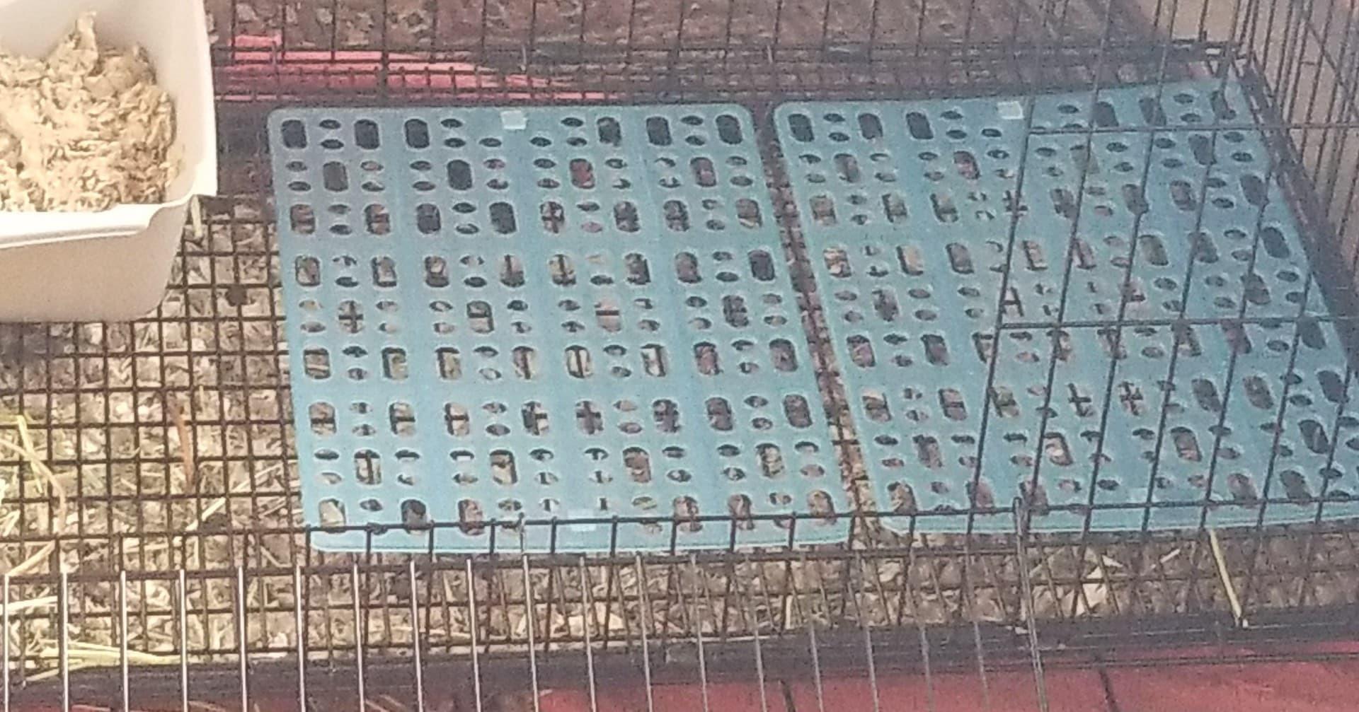 Amazon.com : RUBYHOME 2 Pcs Rabbit Feet Pad Plastic Bunny Cage Floor ...