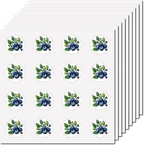 Amazon.com: CREATCABIN 128 Pcs Blueberries Cartoon Sticker Fruit ...