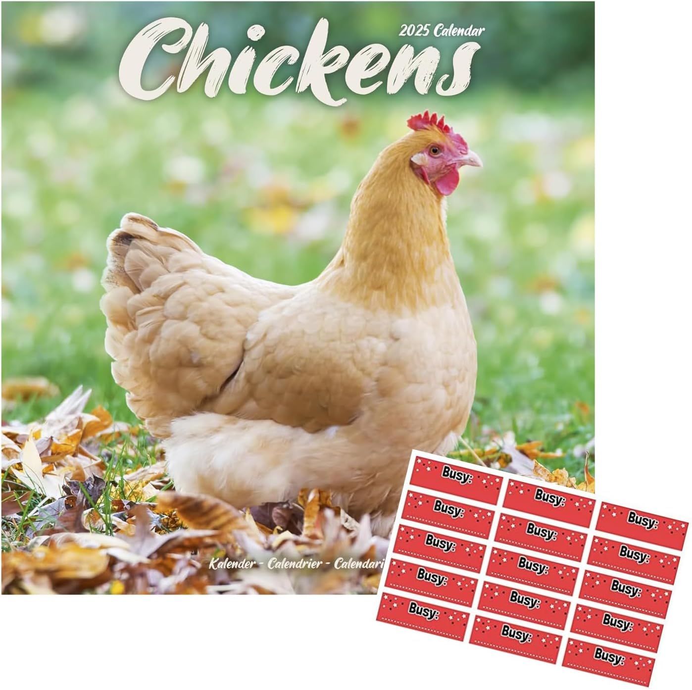 Chickens Calendar 2025 | Square Wall Chicken Hen Calendar | 16 Month ...