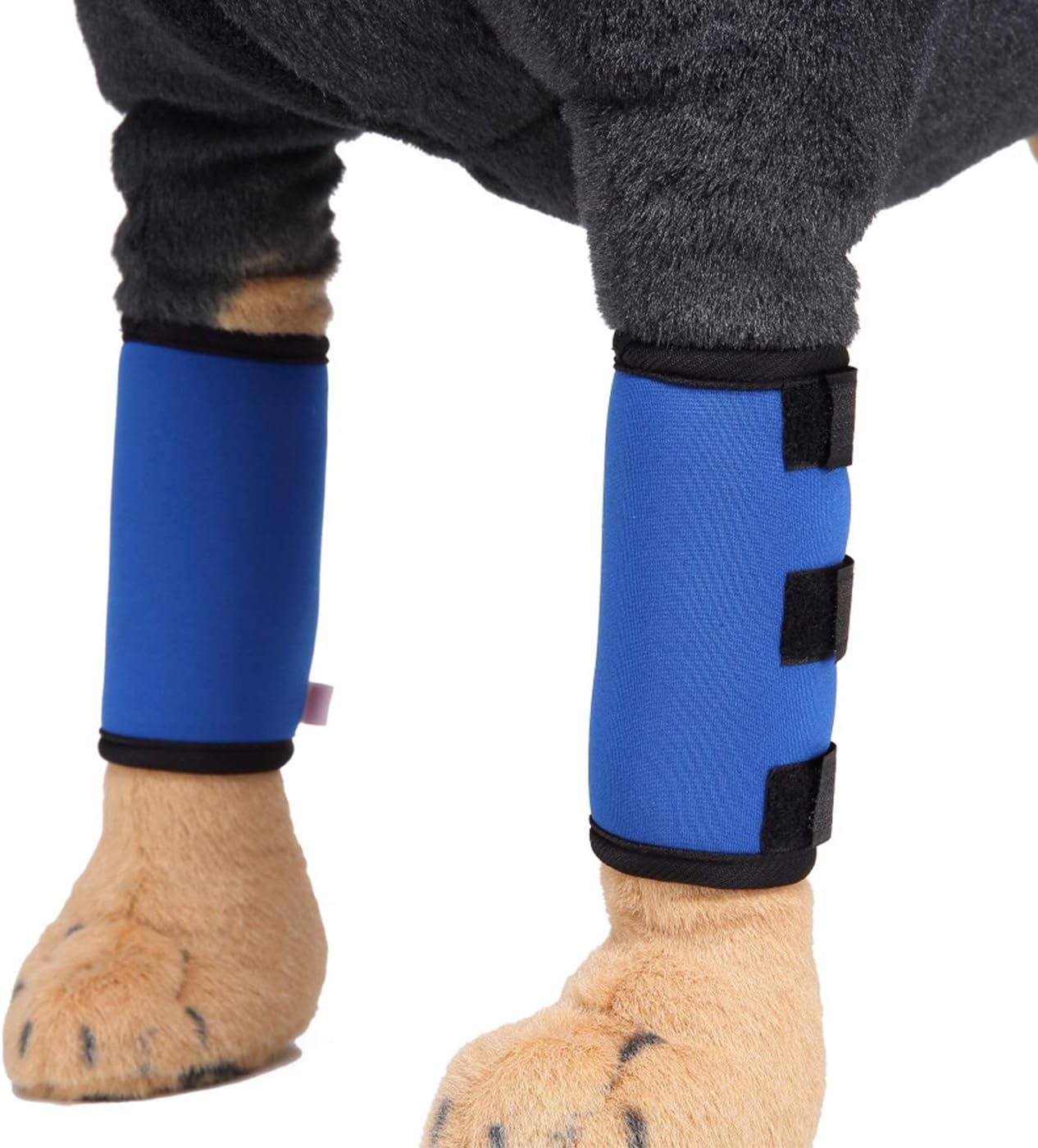 Amazon.com : Alfie Pet - Gemini Dog Front Leg Brace Paw Compression ...