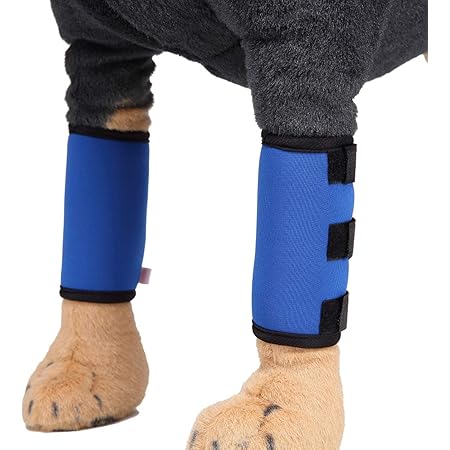 Amazon.com : Dog Canine Front Leg Brace Wraps, Pair of Dog Leg ...