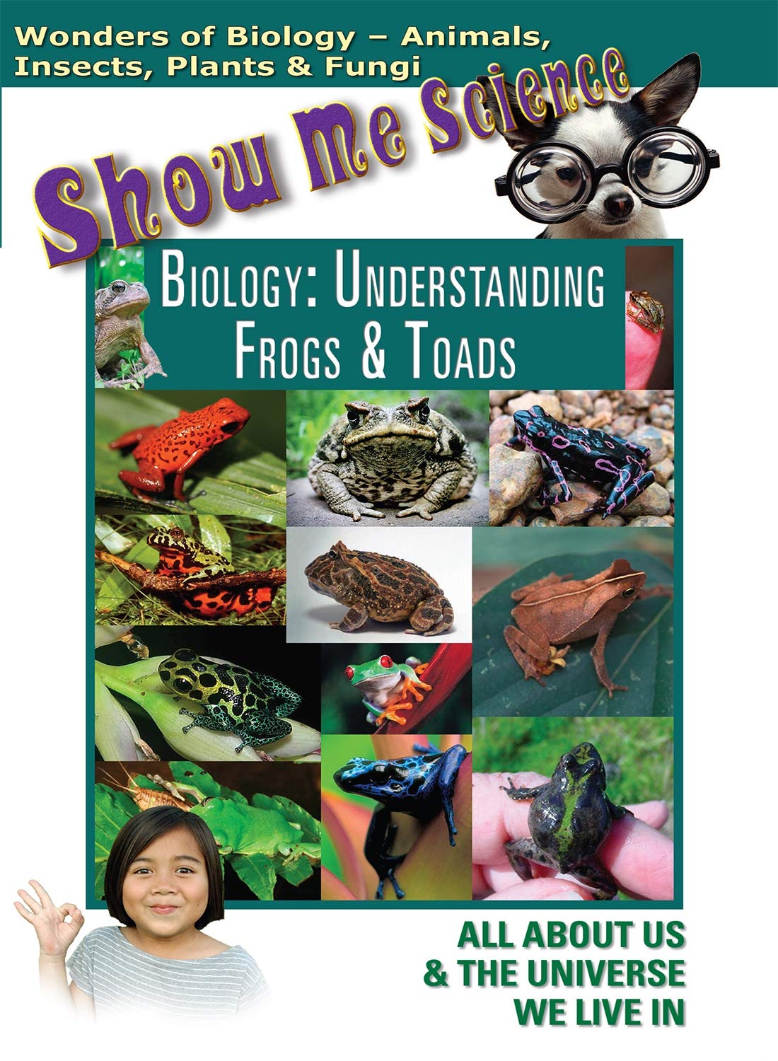 Amazon.com: Biology - Understanding Frogs &Toads [DVD] : Scott Foreman ...