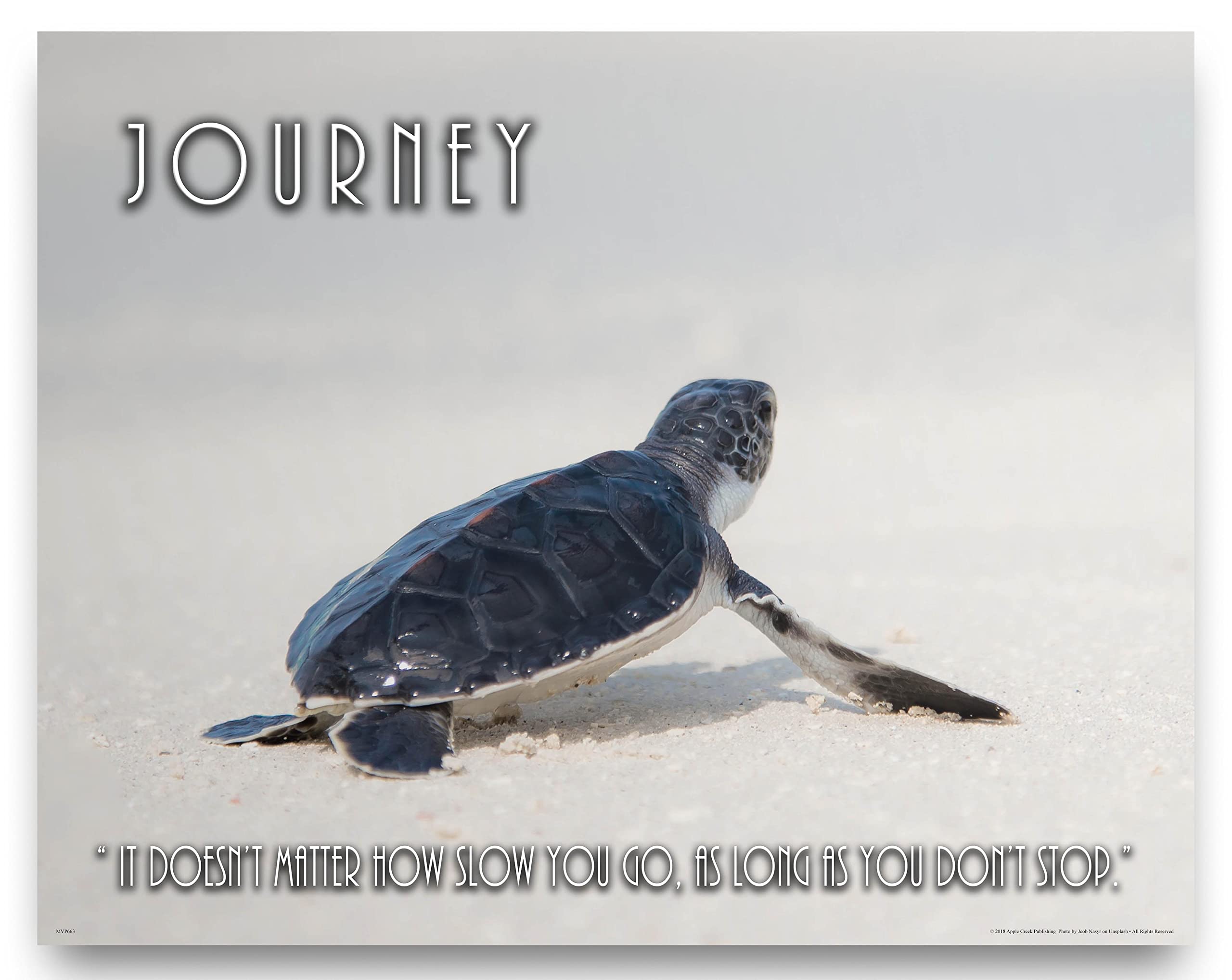 Amazon.com: Apple Creek Sea Turtle Motivational Poster Art Print 11x14 ...