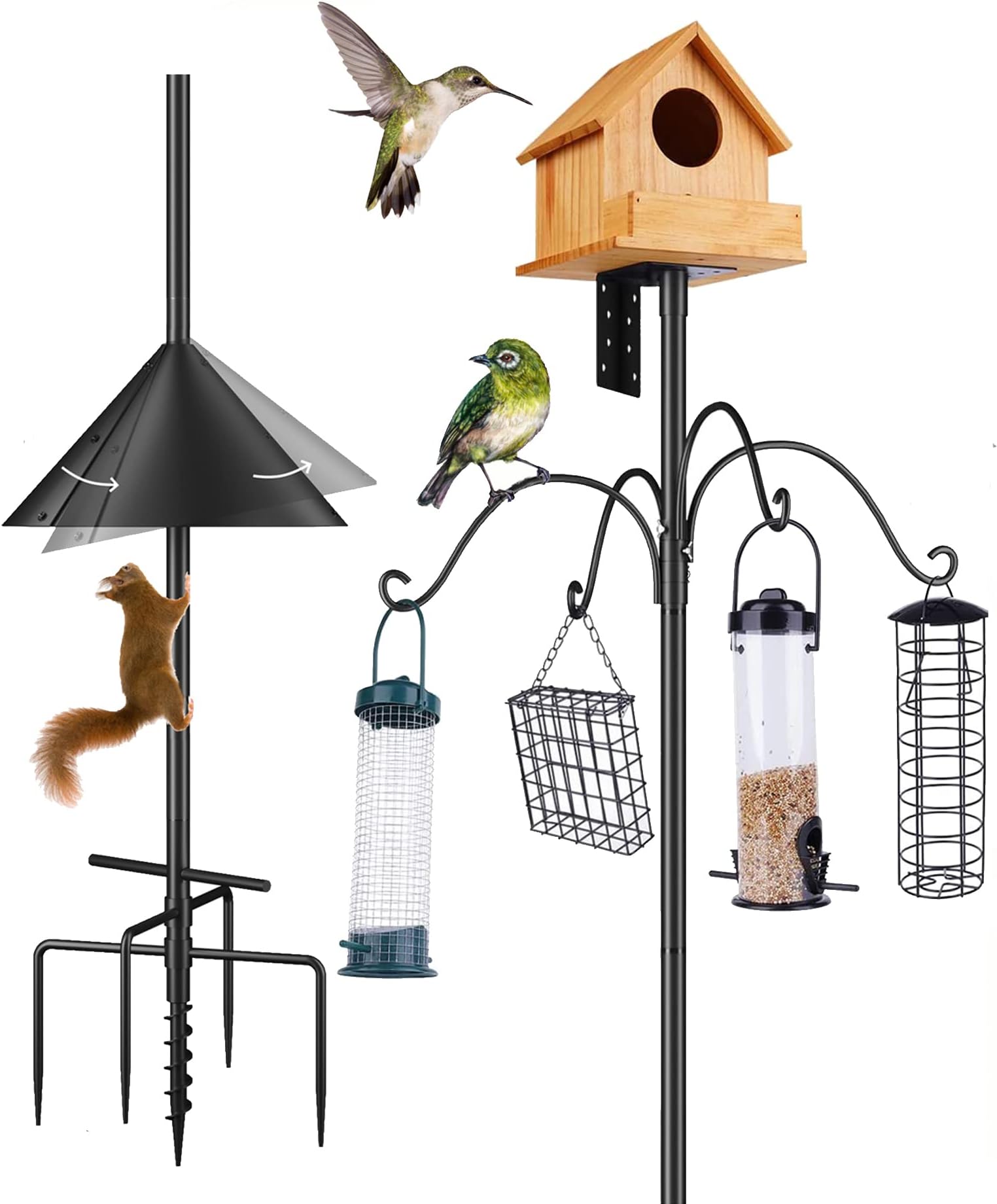 Amazon.com : Squirrel Stopper Sequoia Squirrel Proof Pole System with 4 ...