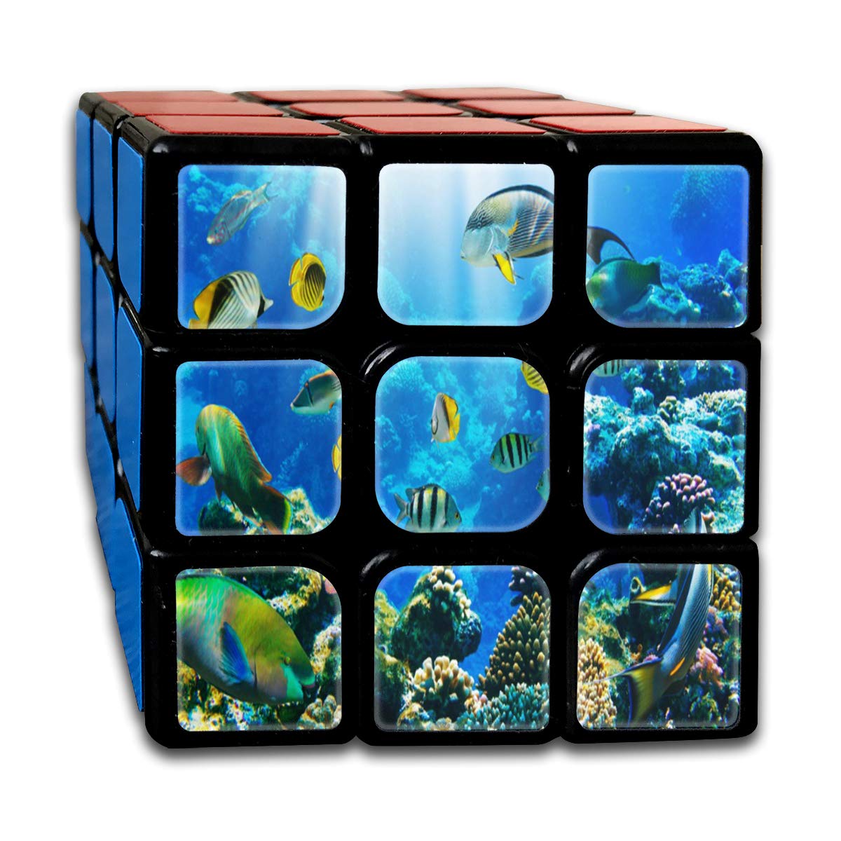 Buy Speed Cube Cute Fish Personalized 3 X 3 Rubik's Cube For All Ages ...