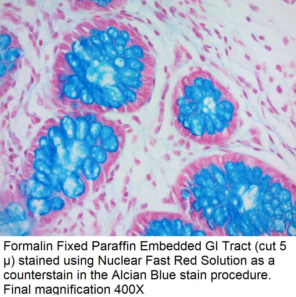 Lab Staining Solution , 500ml - Histology Counterstain For Laboratory ...