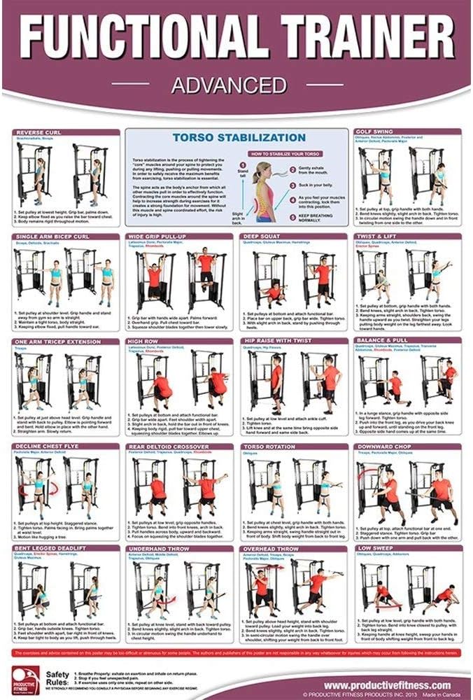 Amazon.com: Productive Fitness Poster Series Advanced Functional ...