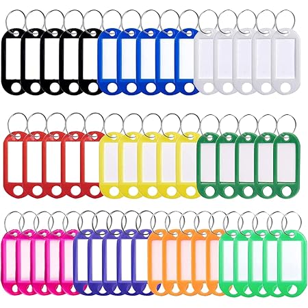 50 Pack Key Tags with Labels - 5 Colours, Plastic Box with Extra Paper ...