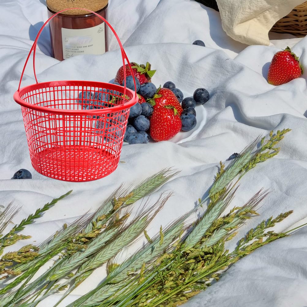 Small Berry Picking Buckets Strawberry Picking In The Triad Sarah
