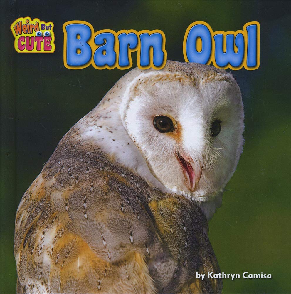 Barn Owl (Weird but Cute): Camisa, Kathryn: 9781943553273: Amazon.com ...