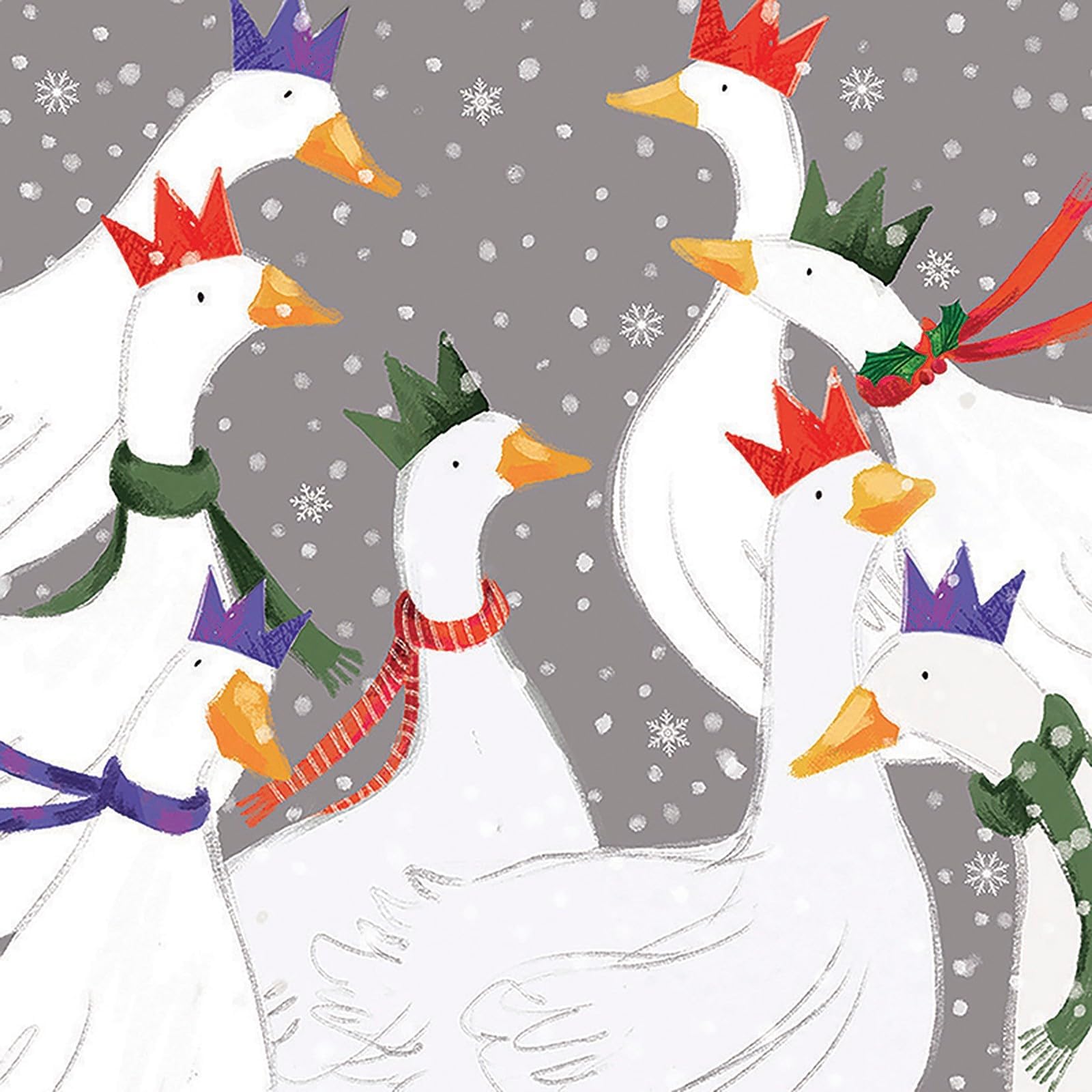 Marie Curie Santa over the Harbour Christmas Cards - Pack of 10 ...
