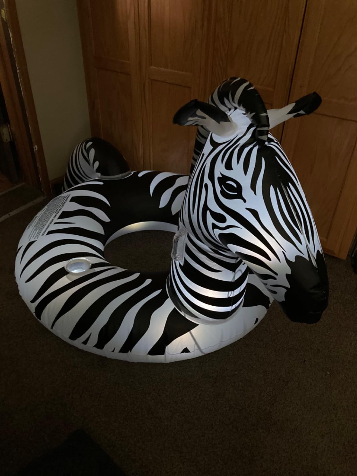 Amazon.com: Inflatable Zebra Pool Float with Lights, FlyfreeU Solar ...
