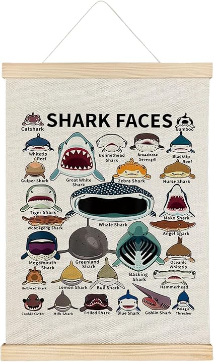 Amazon.com: Qvapt Shark Faces Posters,Types of Shark Wall Art Print ...