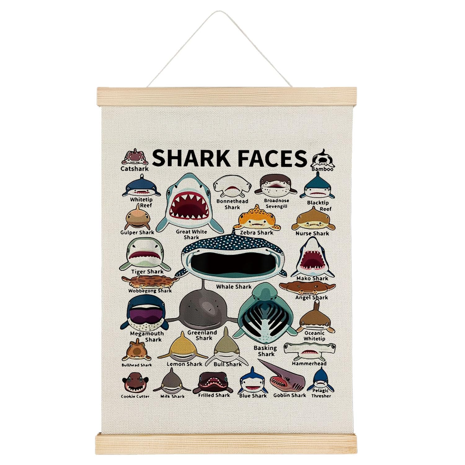 Amazon.com: Qvapt Shark Faces Posters,Types of Shark Wall Art Print ...