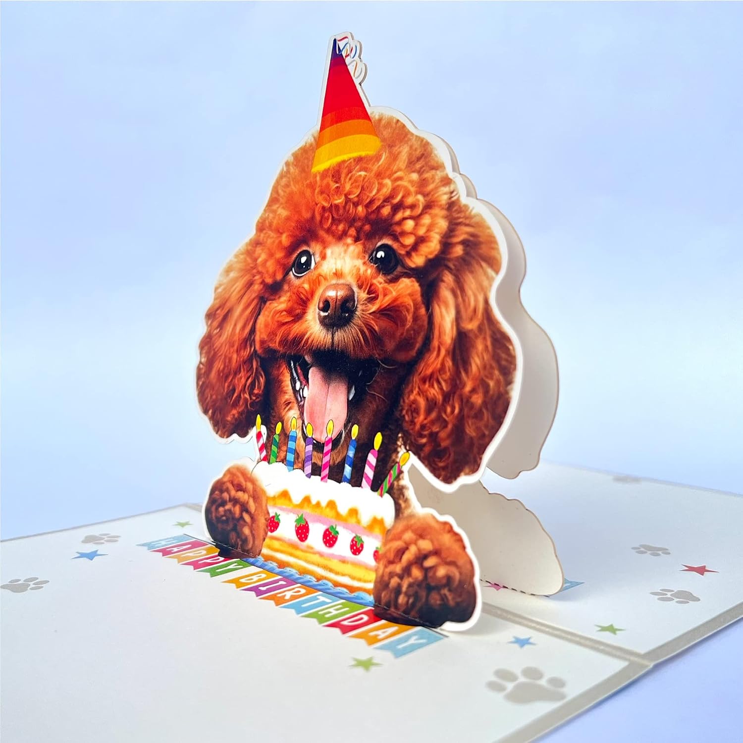 Crazytops Poodle Dog – Tarjetas desplegables divertidas de cumpleaños ...