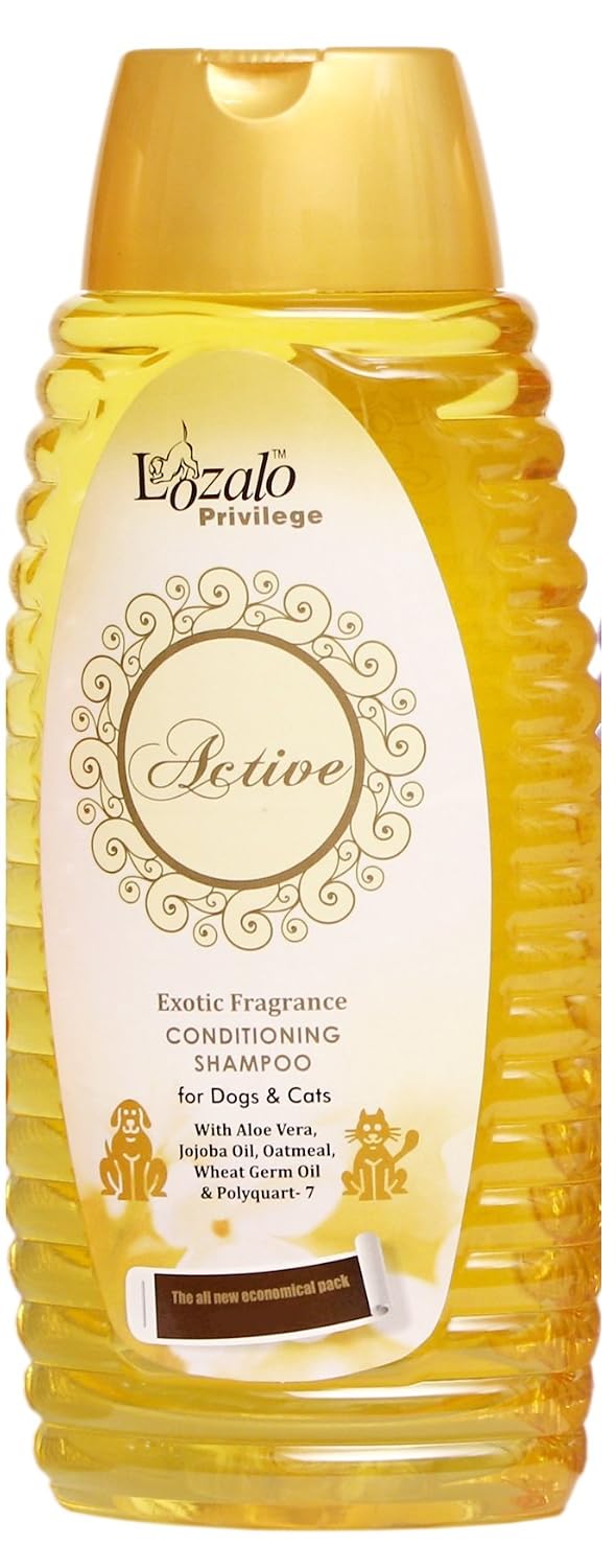 Lozalo Active Conditioning Shampoo,350ml : Amazon.in: Pet Supplies