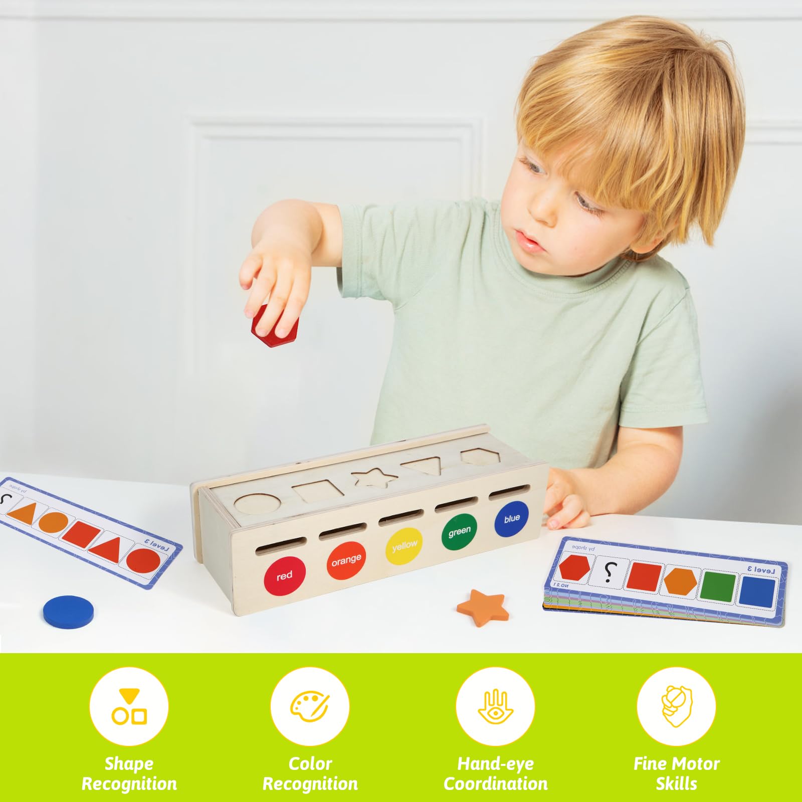 LMTNNB Wooden Sorting Box Montessori Color & Shape Sorter Class ...