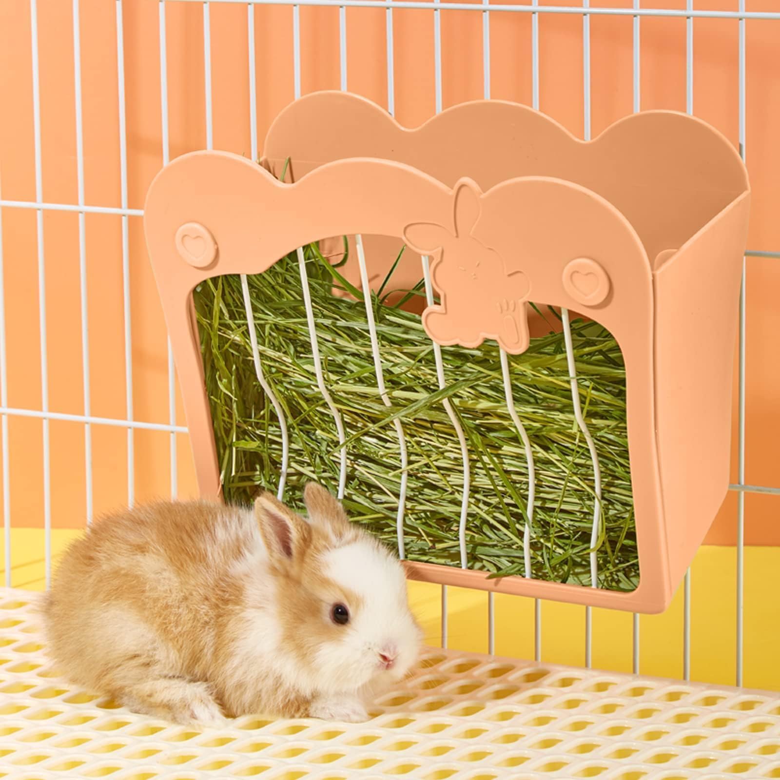 Amazon.com : Rabbit Hay Feeder, Hanging Feeding Hay Rack for Small ...