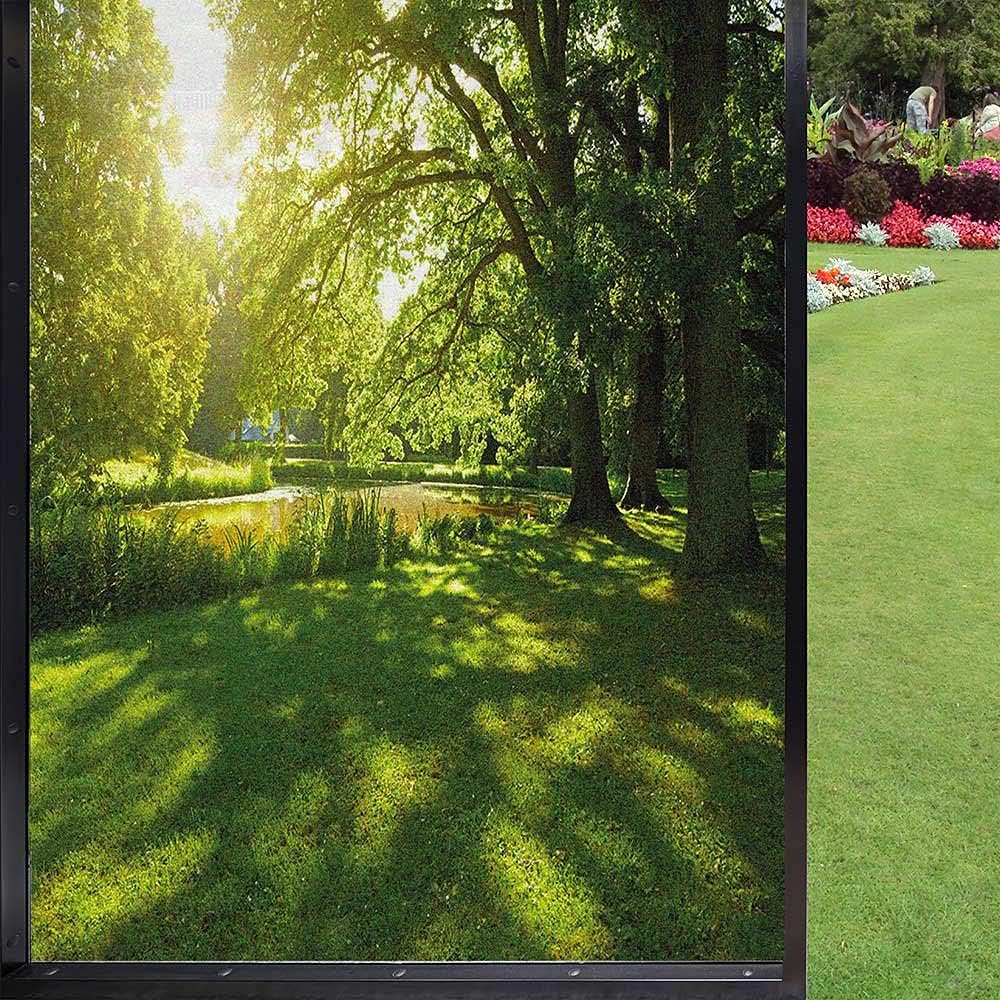 Amazon.com: Decorative Window Film,No Glue Frosted Privacy Film,Stained ...