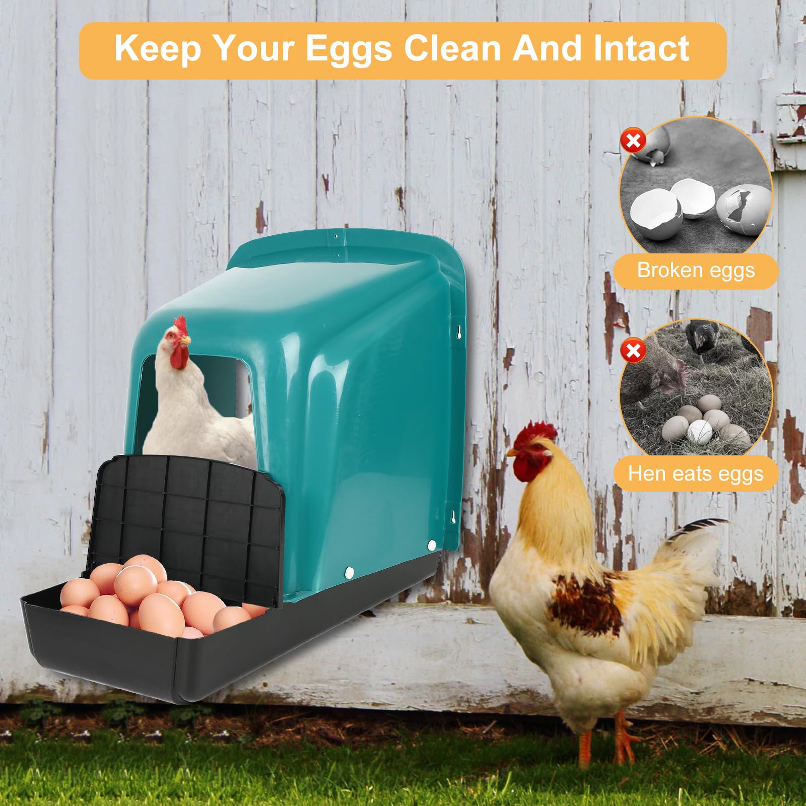 Snapklik.com : HUATOL 5 Pack Chicken Nesting Box, Chicken Laying Boxes