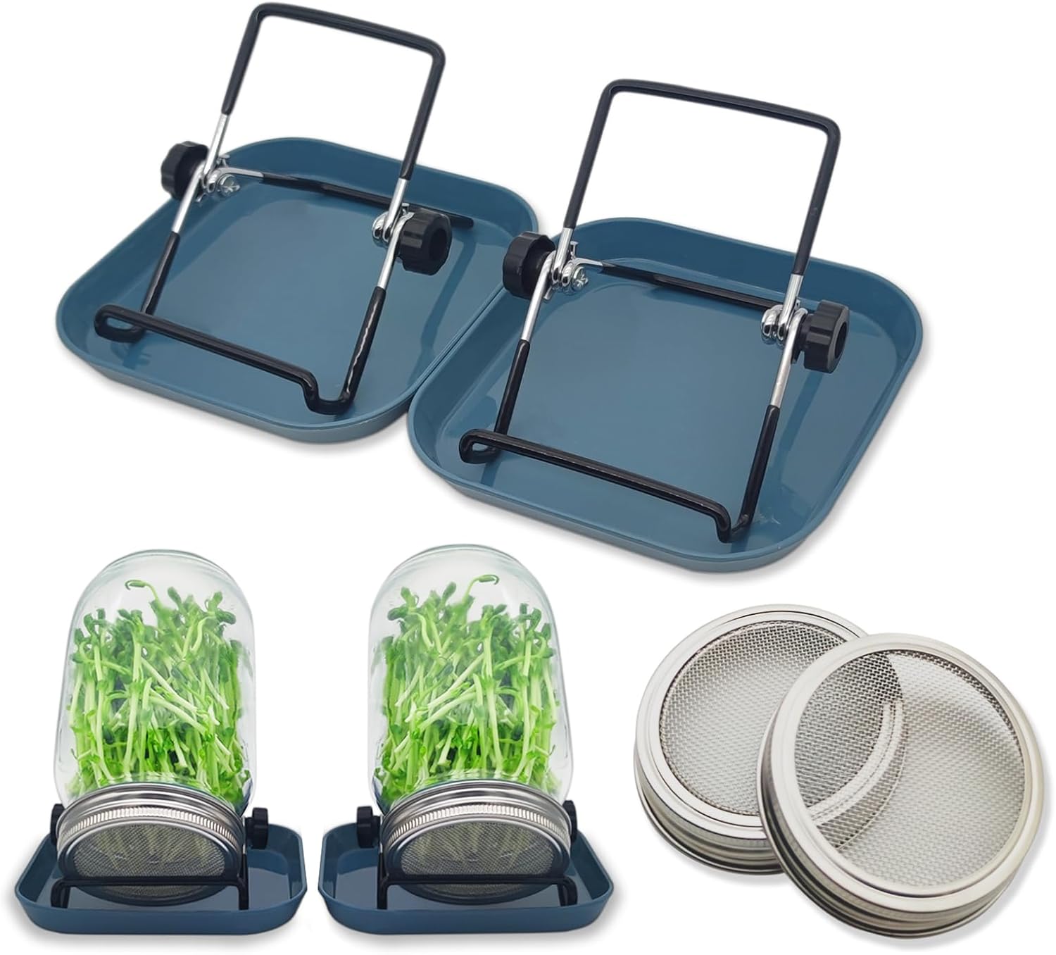 Amazon.com: Guyemnat Sprouts Growing Kit, 2 Pcs Stainless Steel ...